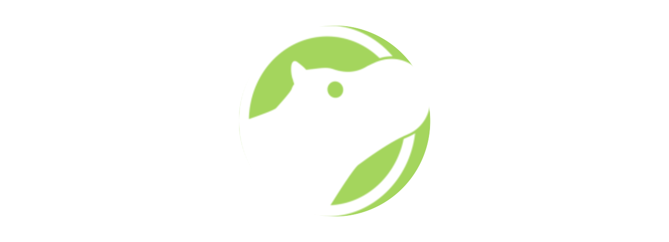 Shippo - Apps Documentation